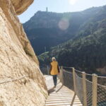 From Nerja to Málaga: Caminito del Rey Private Tour - The Itinerary: What You Can Expect on Your Day