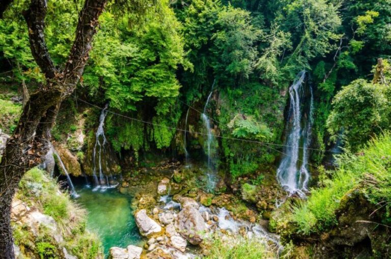 From Nice: Flower Fields & Saint Cassien Lake Full-Day Trip - Practical Details: Transport, Timing, and Cost