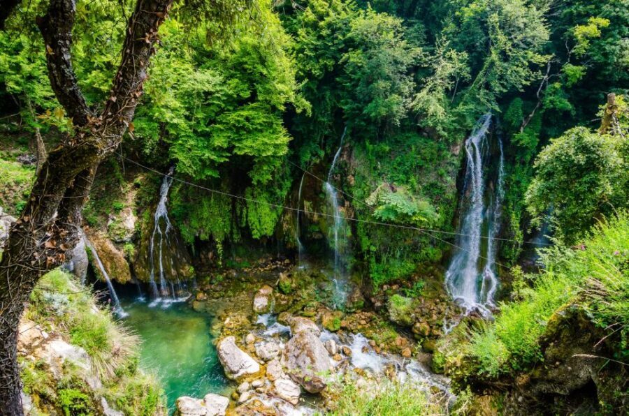 From Nice: Flower Fields & Saint Cassien Lake Full-Day Trip - Practical Details: Transport, Timing, and Cost