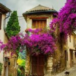 From Nice: Provence and its Medieval Villages Full-Day Tour - The Itinerary: What Youll Experience