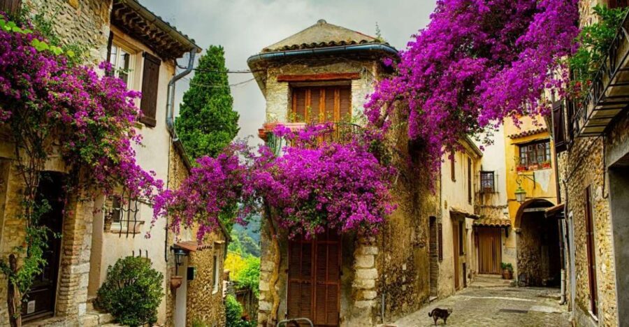 From Nice: Provence and its Medieval Villages Full-Day Tour - The Itinerary: What Youll Experience