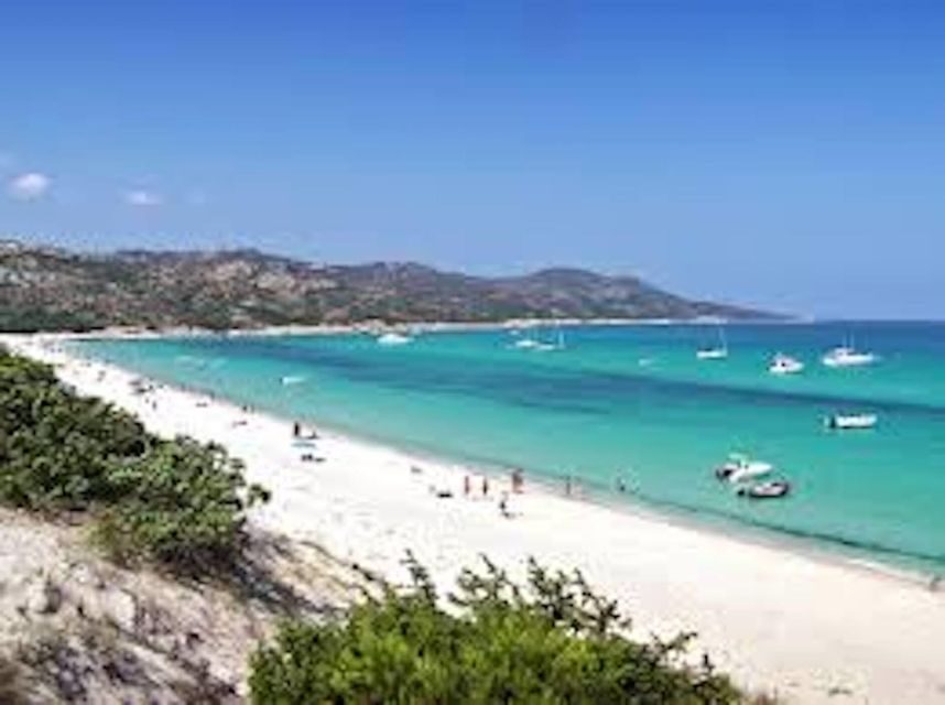 From Nice: Saint-Tropez and Port Grimaud Tour - Who Should Consider This Tour?