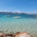 From Olbia: Tour to Tavolara, Molara, and Aperitif - The Value of This Tour