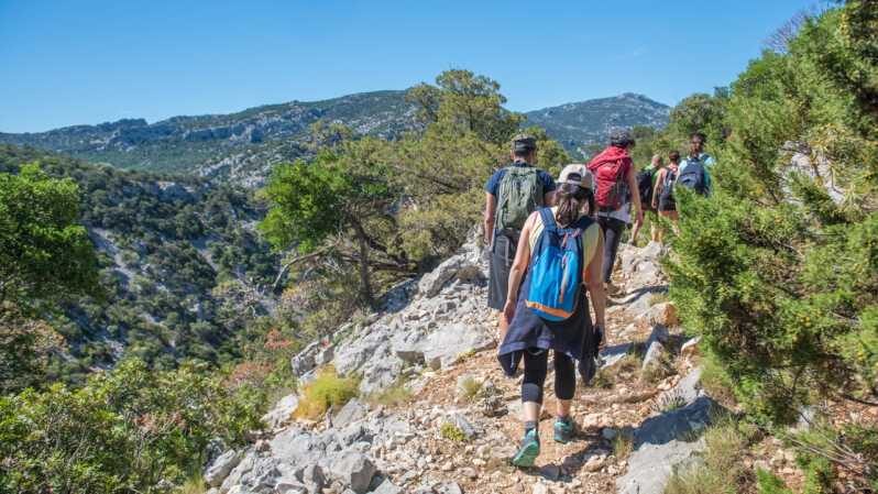 From Orosei/Dorgali: Hike to Cala Luna - Guided Day Trip - The Real Deal: An In-Depth Look at the Cala Luna Guided Hike
