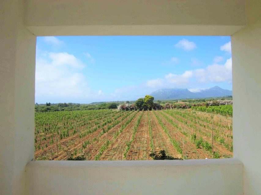 From Orosei: private jeep tour with tasting - Why This Tour Offers Great Value