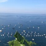 From Orvieto/Perugia area to Sorrento/Amalfi coast & Vice Versa - Final Thoughts