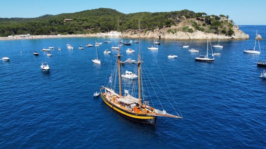 From Palamos: Scenic Boat Trip to Calella de Palafrugell - What the Itinerary Looks Like