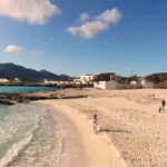From Palermo: Bus & Cruise to Favignana & Levanzo with Lunch - The Experience: What We Think