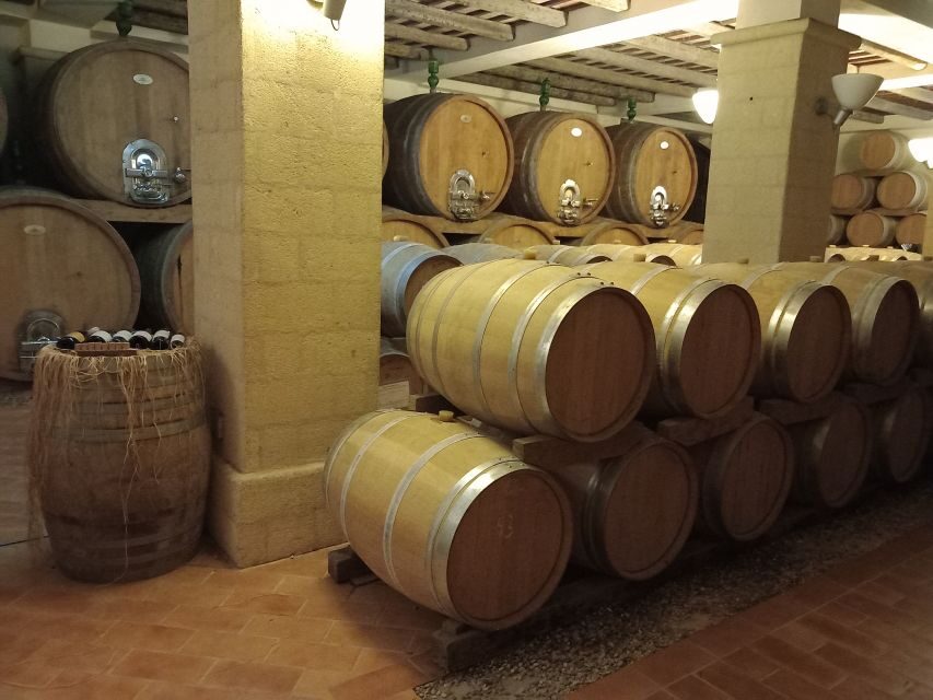 From Palermo: Erice and Marsala Day Trip with Lunch - The Quality and Value