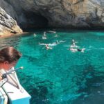 From Palma: Afternoon Dolphin-Watching Boat Tour - What We Appreciate (And What to Consider)