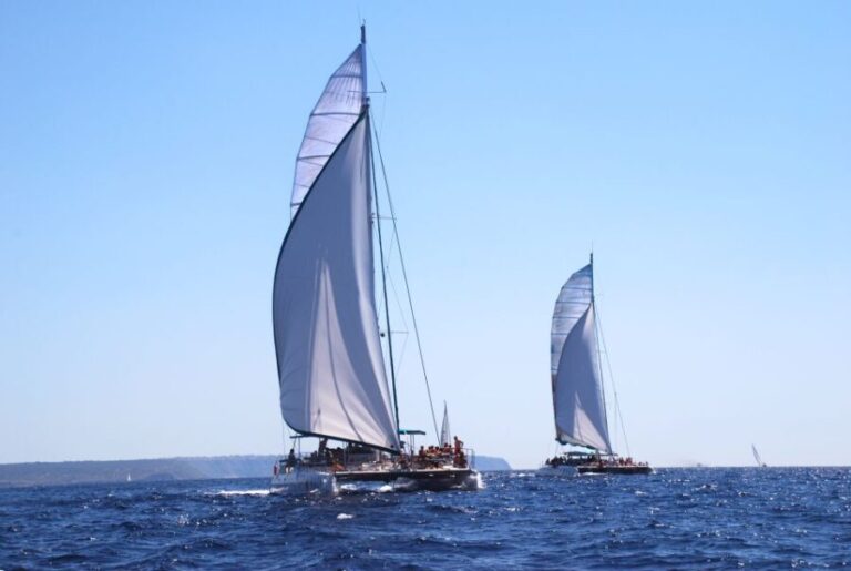 From Palma de Mallorca: Boat Cruise to Illetes - Real Guest Perspectives & Insights