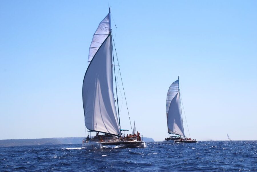 From Palma de Mallorca: Boat Cruise to Illetes - Real Guest Perspectives & Insights