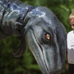 From Palma de Mallorca: Dinosaurland tour - Analyzing the Value and What You Get