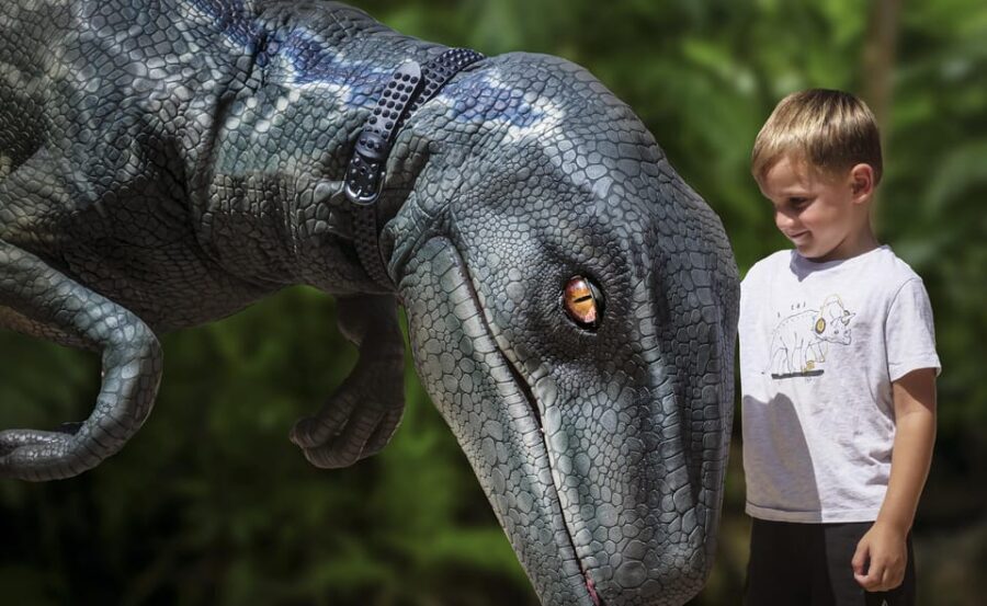 From Palma de Mallorca: Dinosaurland tour - Analyzing the Value and What You Get