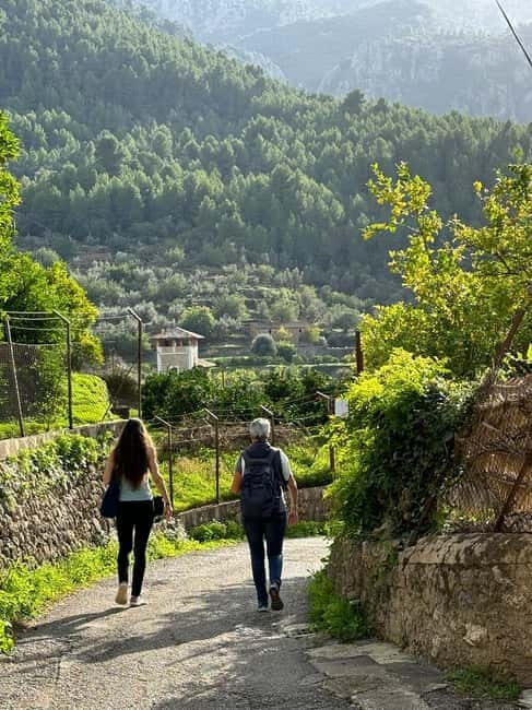 From Palma: Sierra de Tramuntana Hiking with small Picnic - The Value of the Experience
