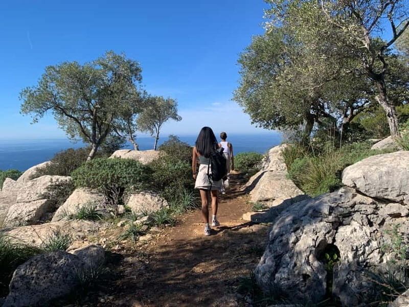 From Palma: Valldemossa Tour and Mountain Viewpoint Hike - What You’ll Experience Step-by-Step