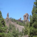 From Palmas: Pico de las Nieves & Roque Nublo Full-Day Trip - A Deep Dive into the Experience