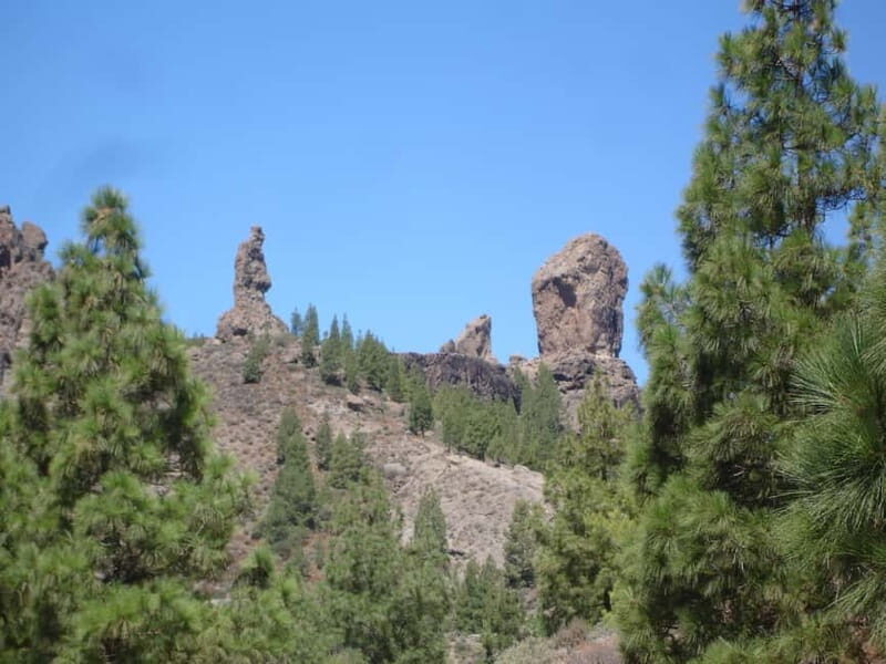 From Palmas: Pico de las Nieves & Roque Nublo Full-Day Trip - A Deep Dive into the Experience
