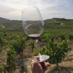 From Pamplona or Logroño: Rioja Wineries Day Trip w/ Tasting - Exploring the Itinerary and Highlights in Detail