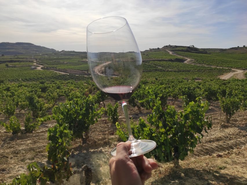 From Pamplona or Logroño: Rioja Wineries Day Trip w/ Tasting - Exploring the Itinerary and Highlights in Detail