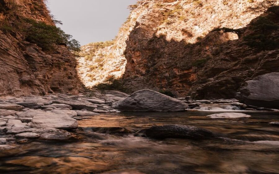 From Panormo or Lavris: Samaria Gorge Hike with Guide - Who Will Love This Tour?