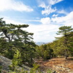 From Paphos: Caledonia Waterfalls Walking Tour with Lunch - An Overview of the Tour Experience