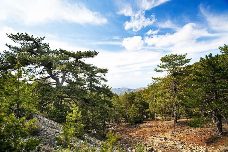 From Paphos: Caledonia Waterfalls Walking Tour with Lunch - An Overview of the Tour Experience
