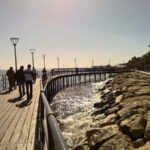 From Paphos: Limassol Experience - Key Points