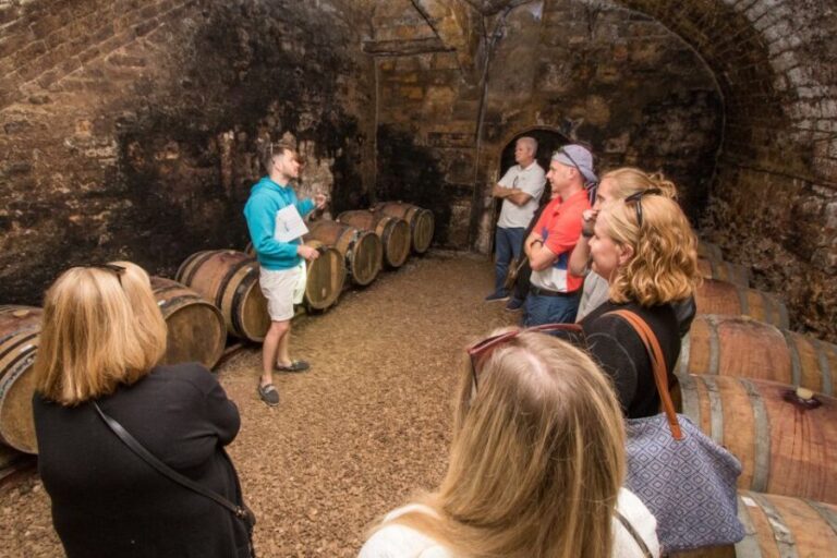 From Paris: Burgundy Region Winery Tour with Tastings - What Makes This Tour Stand Out