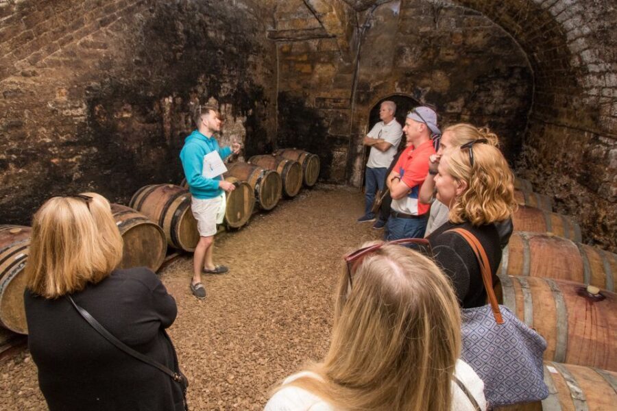 From Paris: Burgundy Region Winery Tour with Tastings - What Makes This Tour Stand Out
