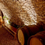 From Paris: Champagne, gastronomy and culture - Detailed Review of the Tour Experience