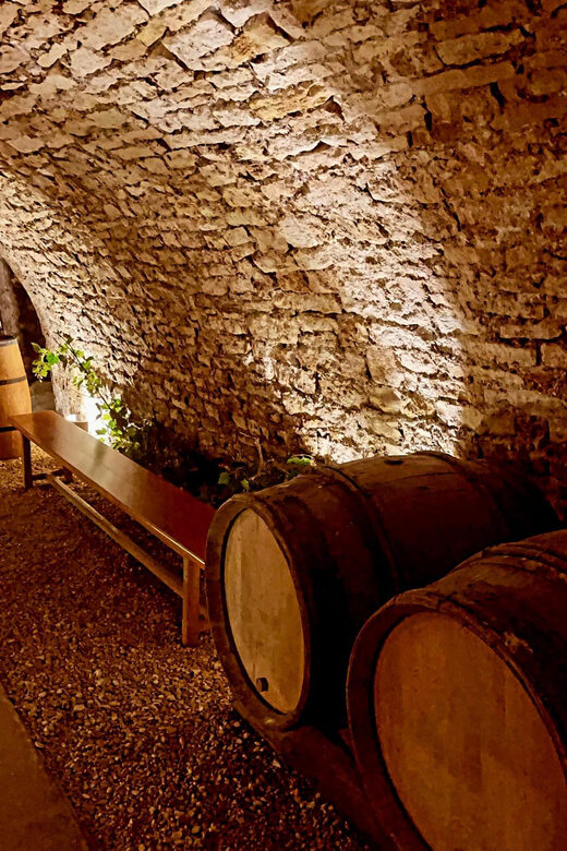 From Paris: Champagne, gastronomy and culture - Detailed Review of the Tour Experience