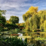 From Paris: Excursion to Monet's Gardens in Giverny - Why This Tour Is Worth Considering