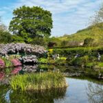 From Paris: Full day in Giverny & Versailles - Private Tour - The Experience of Visiting Monet’s Garden