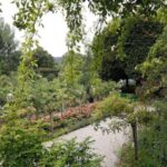 From Paris: Giverny and Monet's Home Day Trip - Is It Worth the Price?