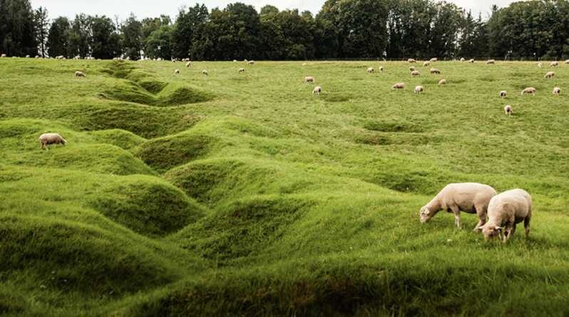 From Paris : WWI Somme Battlefields with Licensed Guide - The Value of This Tour