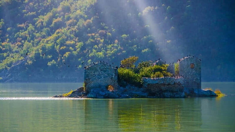 From Petrovac or Budva: Skadar Lake Cruise with Lunch - Detailed Breakdown of the Tour Experience