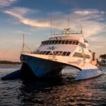 From Piran: Venice Catamaran Crossing One-Way or Round-Trip - Arriving in Venice: What to Expect