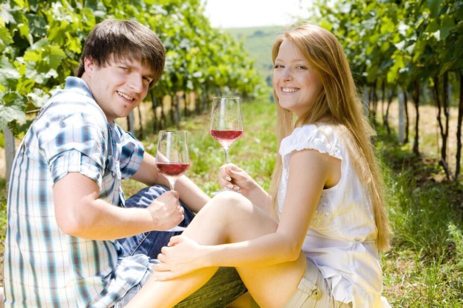 From Pisa or Lucca: Half-Day Tuscany Chianti Wine Tasting - Exploring the Details: A Closer Look at the Experience