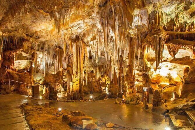 From Polignano - Cave Tour Between Land and Sea - FAQ