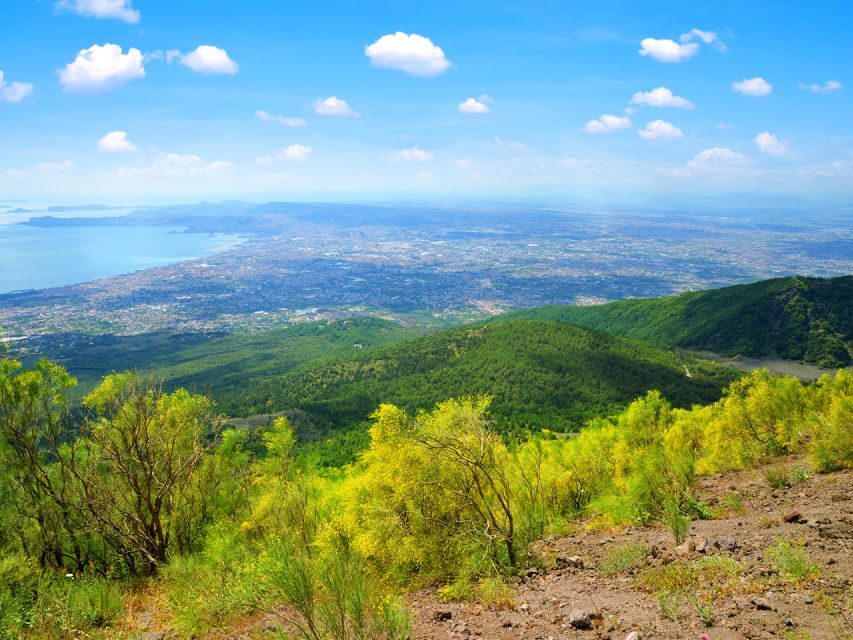 From Pompeii: Bus Transfer to Vesuvius with Park Entry Fee - A detailed look at the Vesuvius tour: what you’re signing up for