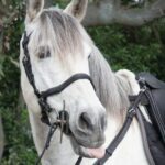 From Pompeii: Mount Vesuvius Horseback Riding Tour - Who Will Appreciate This Tour?