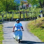 From Pompeii: Vintage Vespa Tour Beneath Mount Vesuvius - Who Would Enjoy This Tour?
