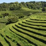 From Ponta Delgada: Furnas Lake Shore 4x4 Guided Day Trip - Inside Tips from the Local Guides