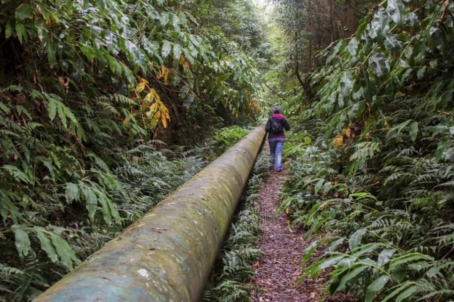 From Ponta Delgada: Guided Walking Tour to Salto do Cabrito - What Makes This Tour Stand Out