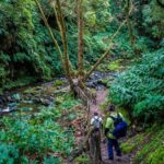 From Ponta Delgada: Hiking Moinho do Félix - FAQs