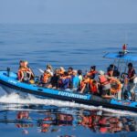 From Ponta Delgada: Whale and Dolphin Watching Trip - Why This Tour Offers Great Value