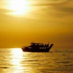 From Pore: Evening Dolphin Cruise with Welcome Drink - Detailed Itinerary Breakdown