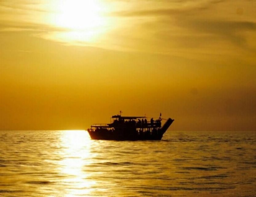 From Pore: Evening Dolphin Cruise with Welcome Drink - Detailed Itinerary Breakdown