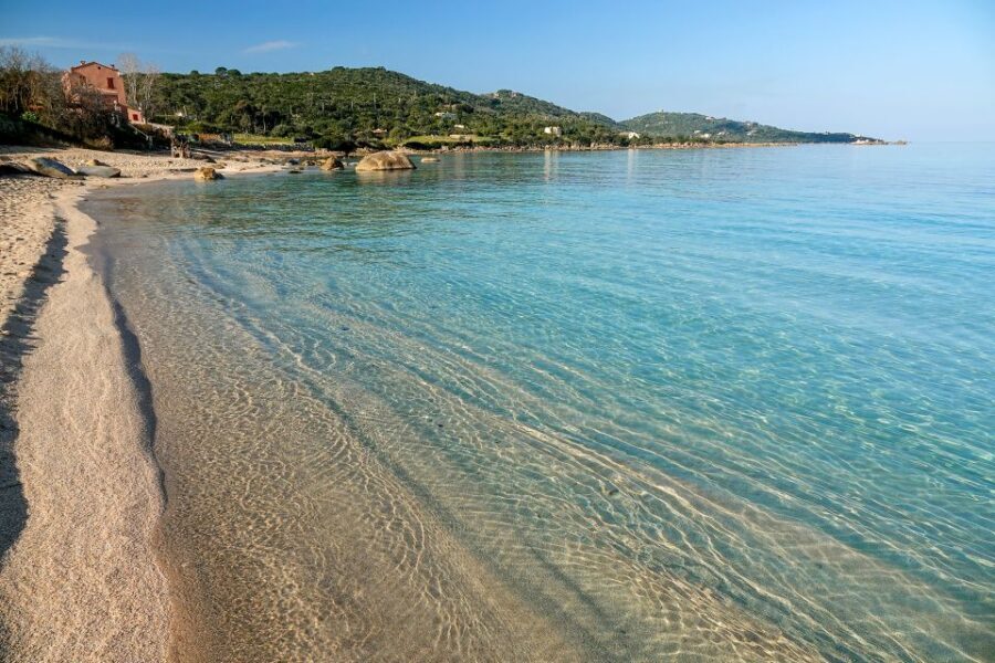 From Porticcio: Speedboat Tour to Cupabia Beach with Stops - Value and Practical Considerations